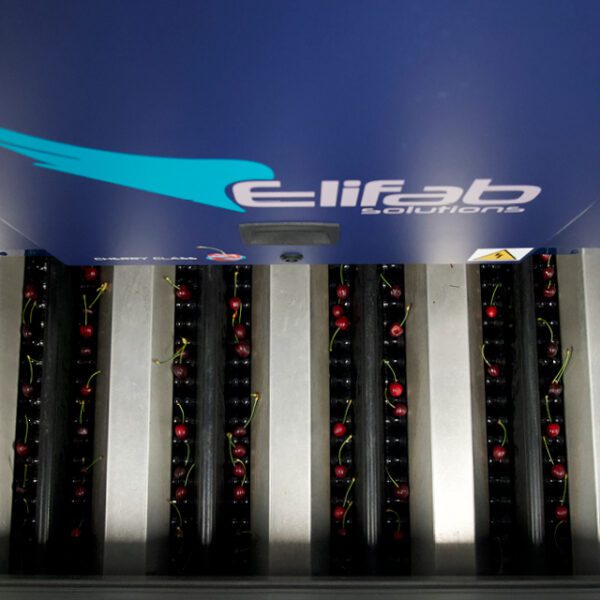 Grade fruit and vegetables with high speed and consistent quality - Elifab