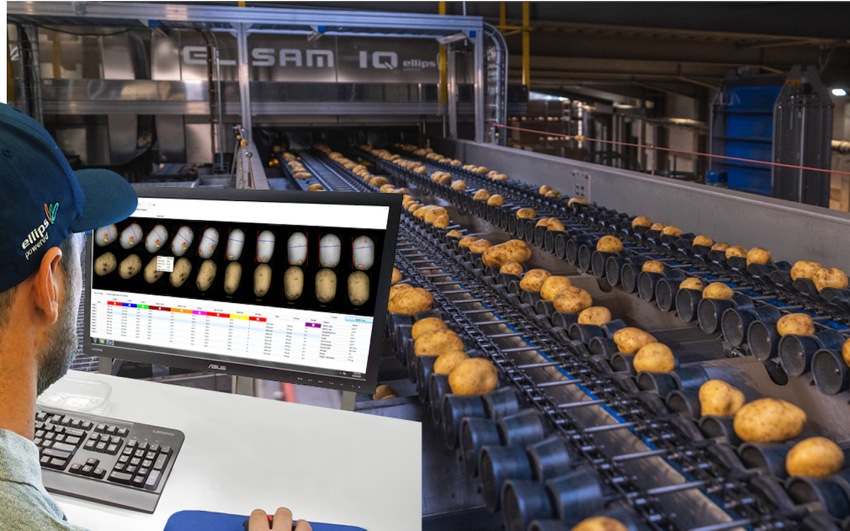 Grading solutions - Grade fruit and vegetables with high speed and ...