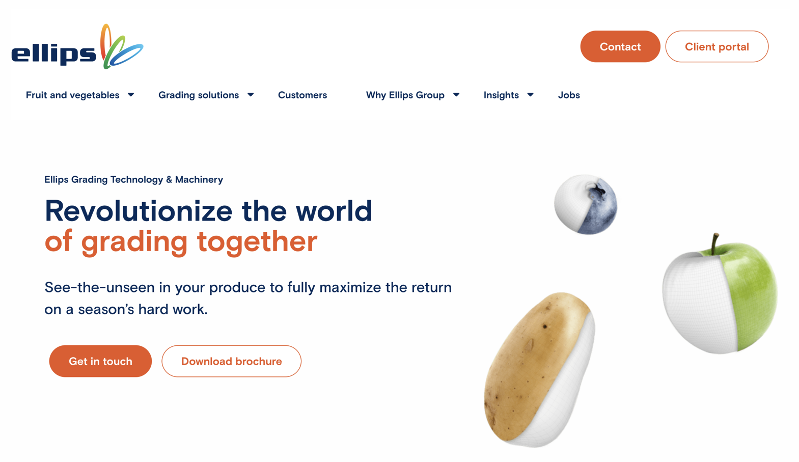 Grade fruit and vegetables with high speed and consistent quality - Elifab